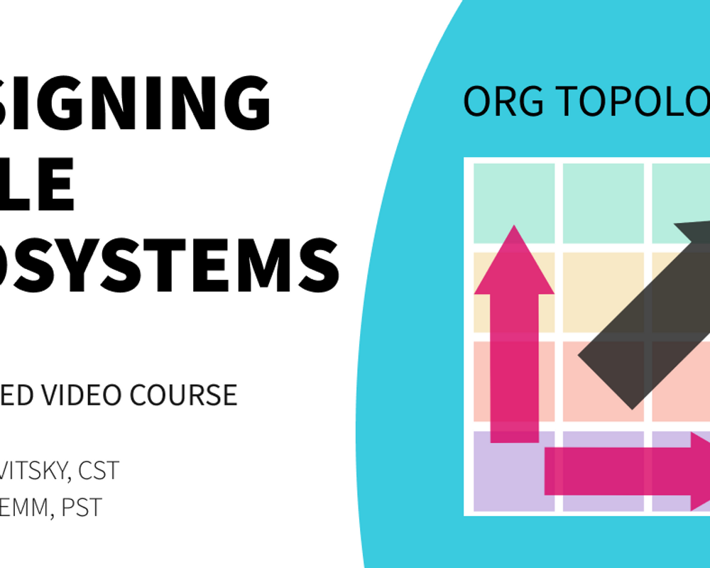 Designing Agile Ecosystems: 4.5-hours of self-paced videos with case ... Designing Agile Ecosystems: 4.5-hours of self-paced videos with case ...