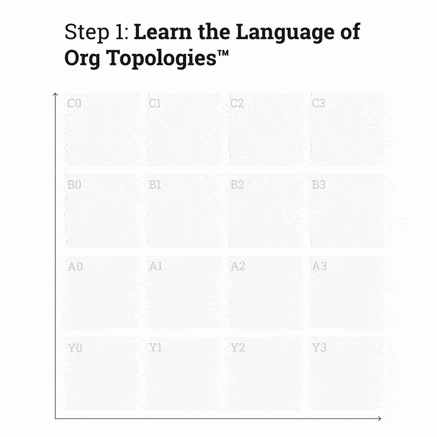Org Topologies™