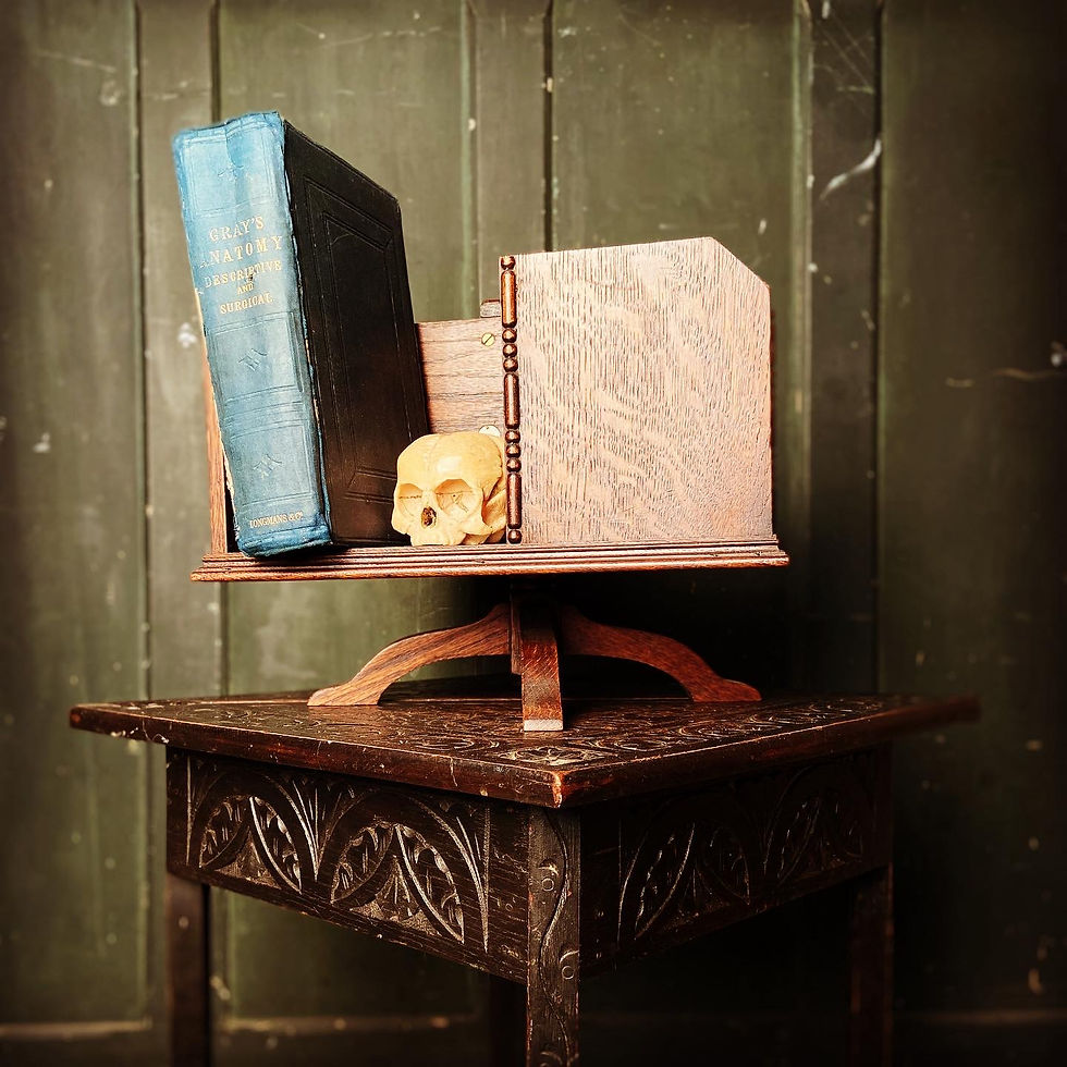 Exploring the Fascinating World of Antique Anatomical Figures