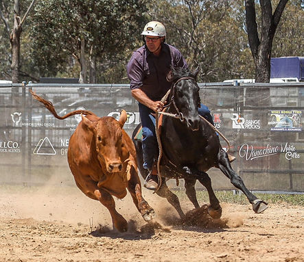 Livestock events | Bell Show and Rodeo