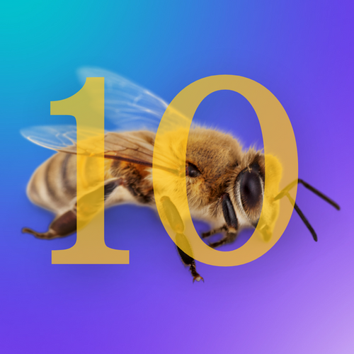 10 Therapy Bees | Pollen Peddlers