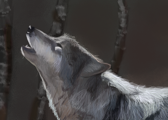 how to draw digital art wolf