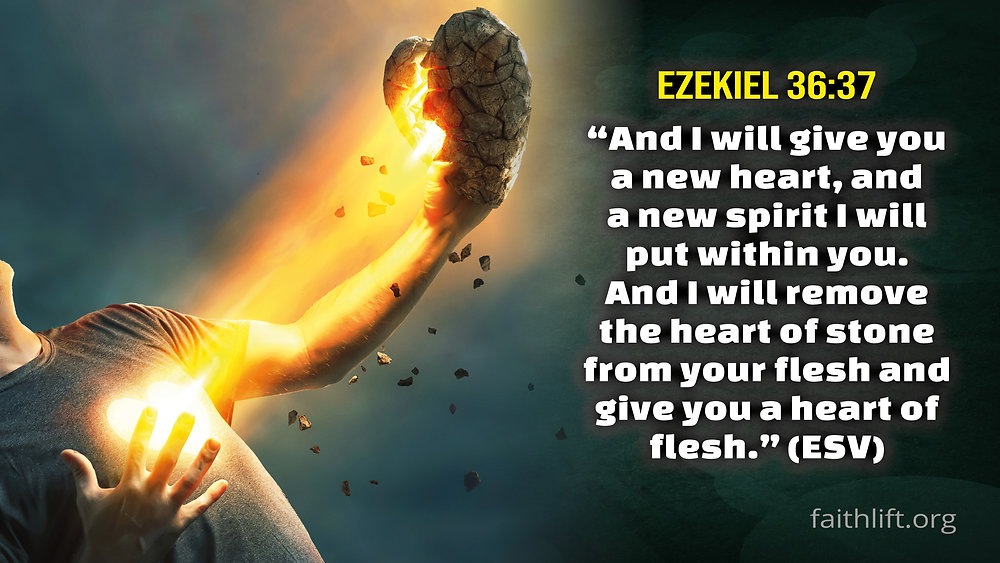 00427 - Heart of Stone