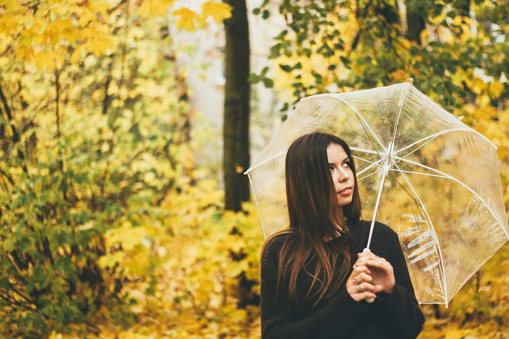 How Umbrella Schools Work