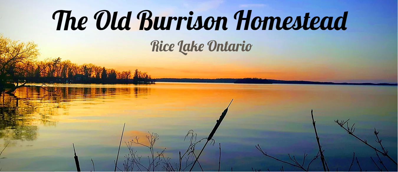 About Us | The Old Burrison Homestead | Ontario