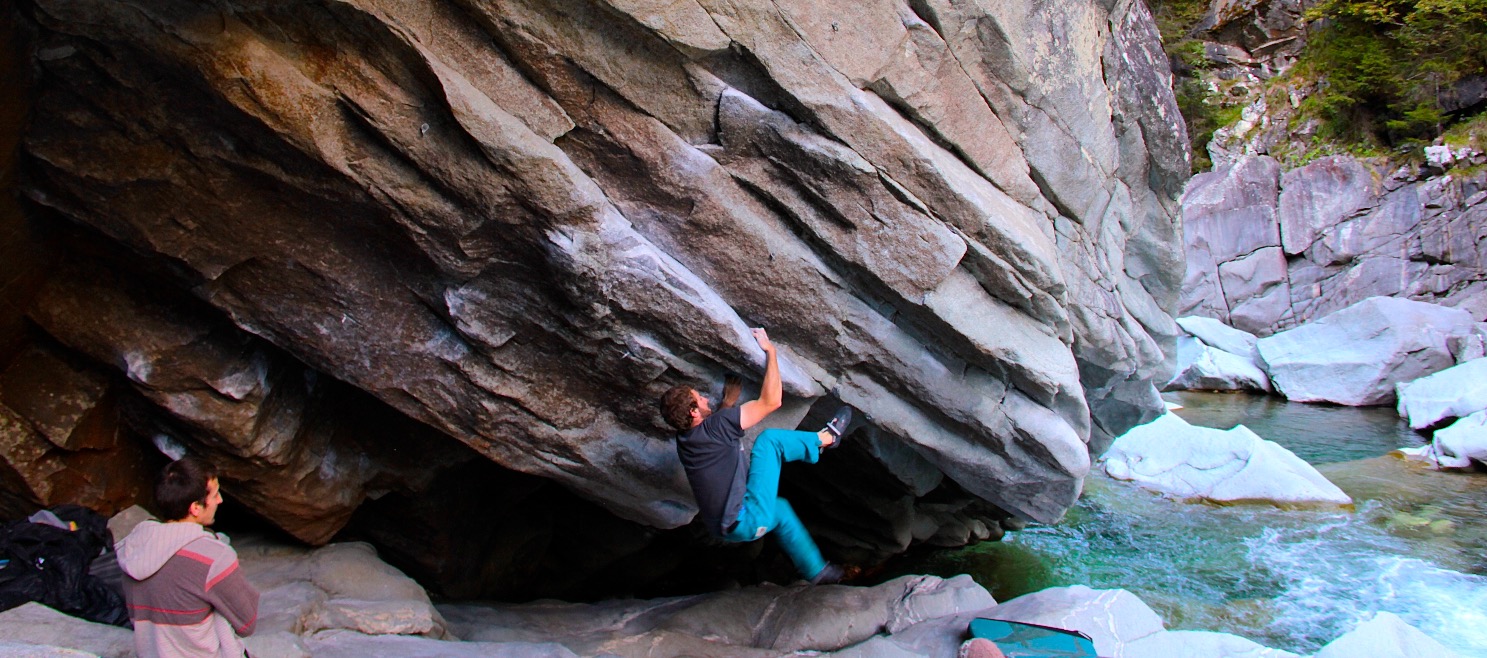 Magic Wood | valferrera