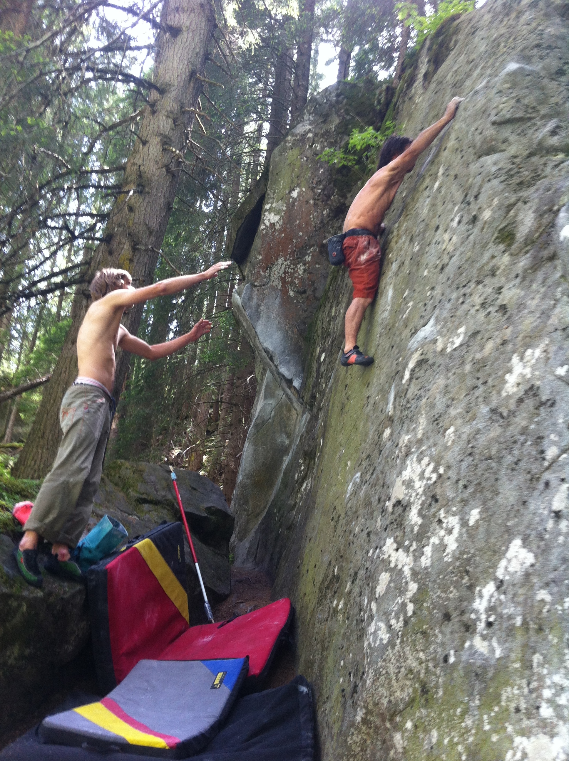 Magic Wood | valferrera