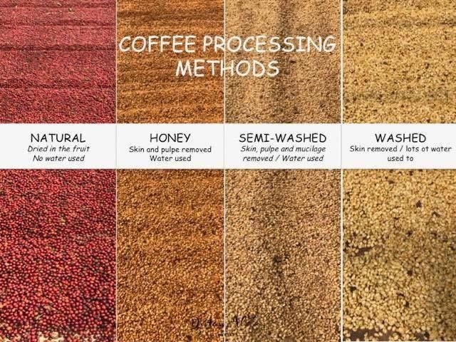 The Effects of Coffee Processing Methods on Chemistry and Flavor
