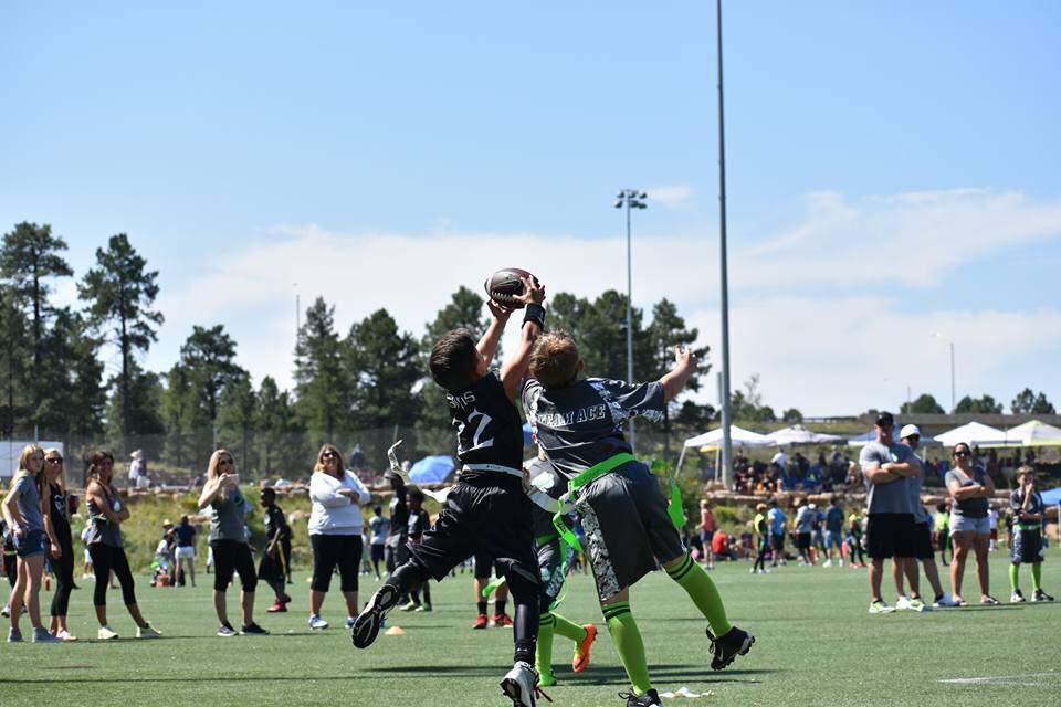 HOME | apexpredatorsflag