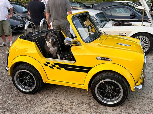 Austin Mini | Spoke Hire