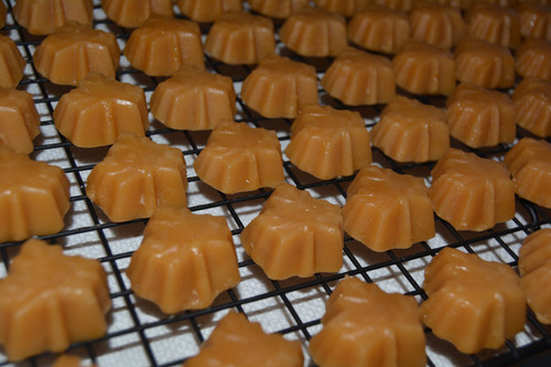 Maple Candies - 1/2 oz. | garland-sugar-shack