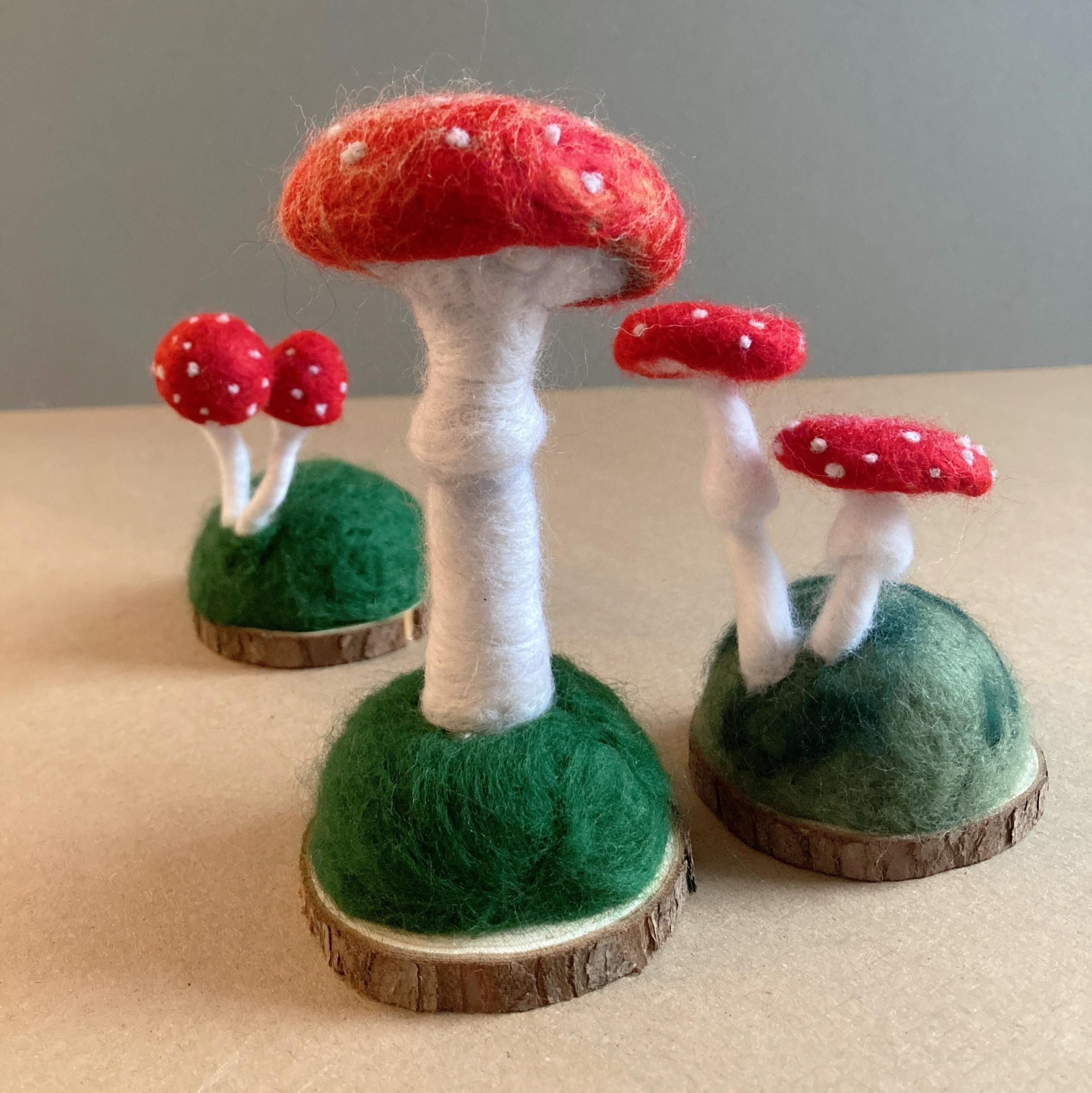Needle Felted Toadstool Workshop | Bergin & Bath