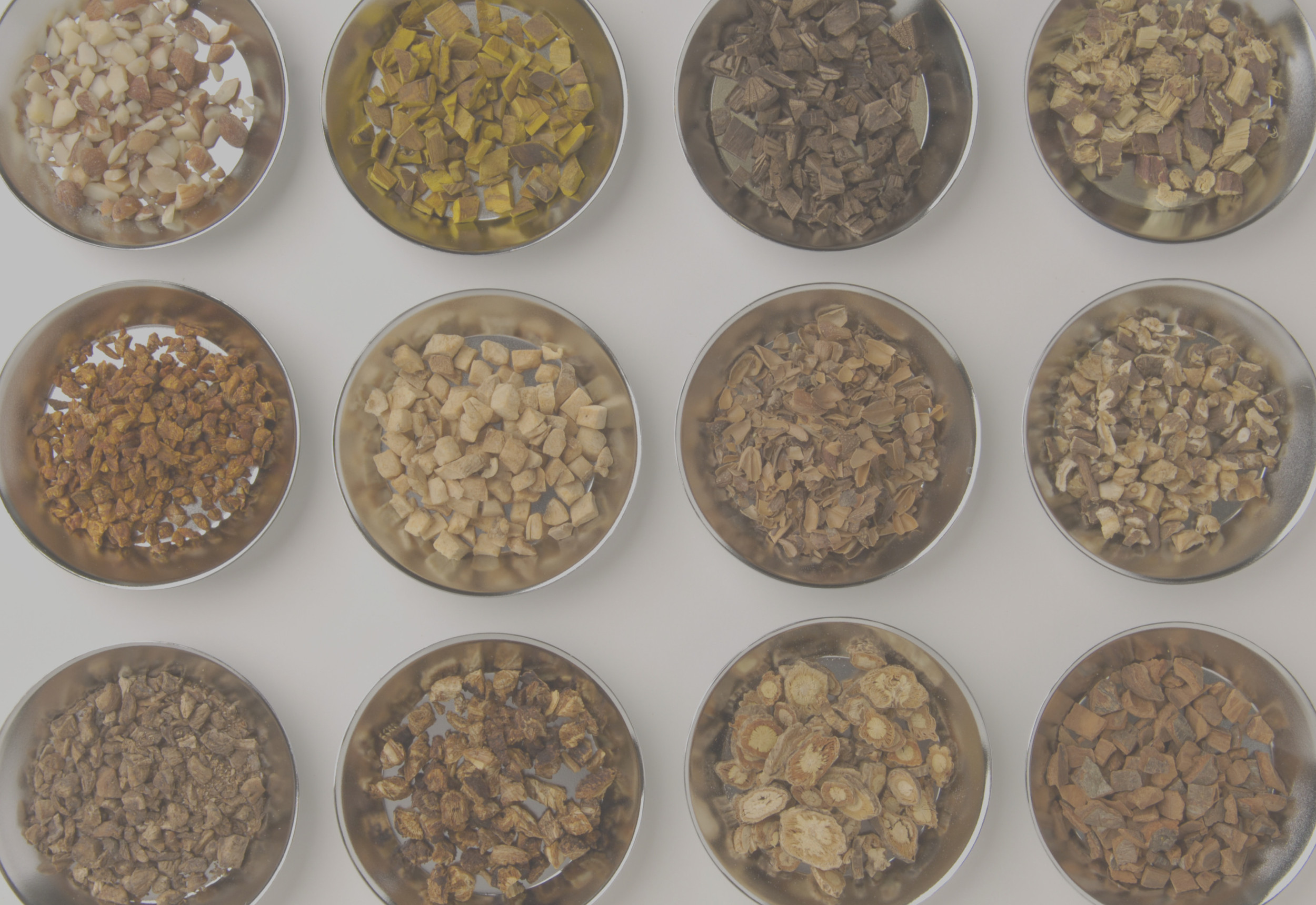 Health in Bloom | Products