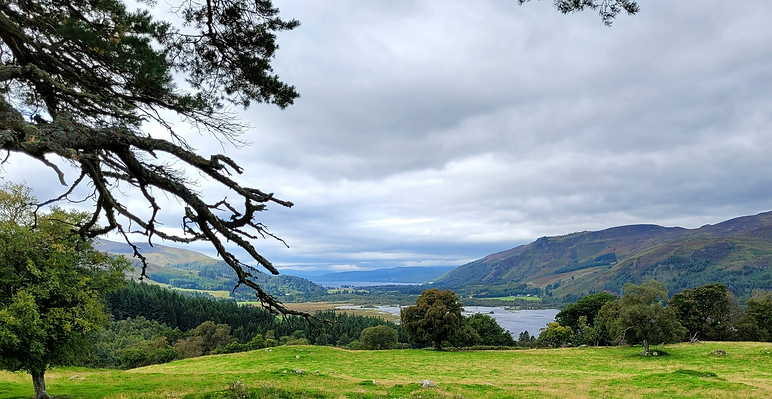 The Infinity Wave | Spread Infinite Hope