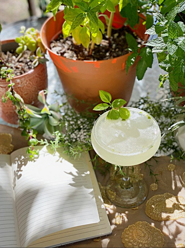 Sip & Soil | The Garden Shop