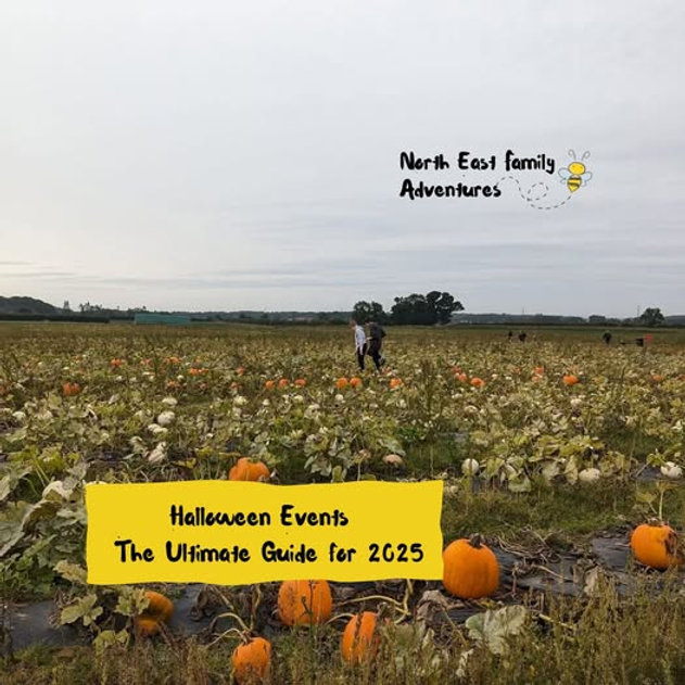 Halloween Events | The Ultimate Guide for 2025