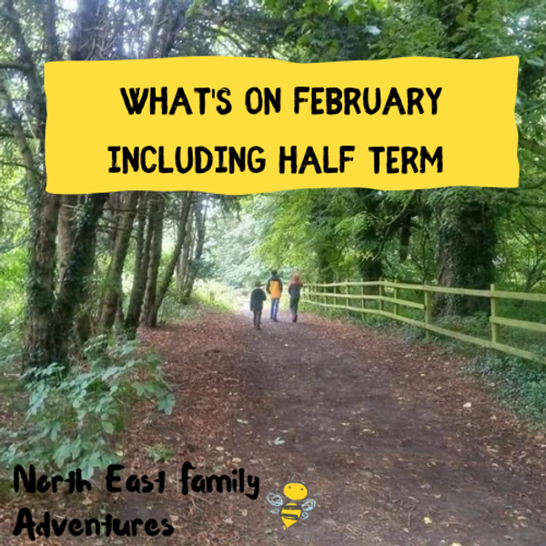What's On February Including Half Term