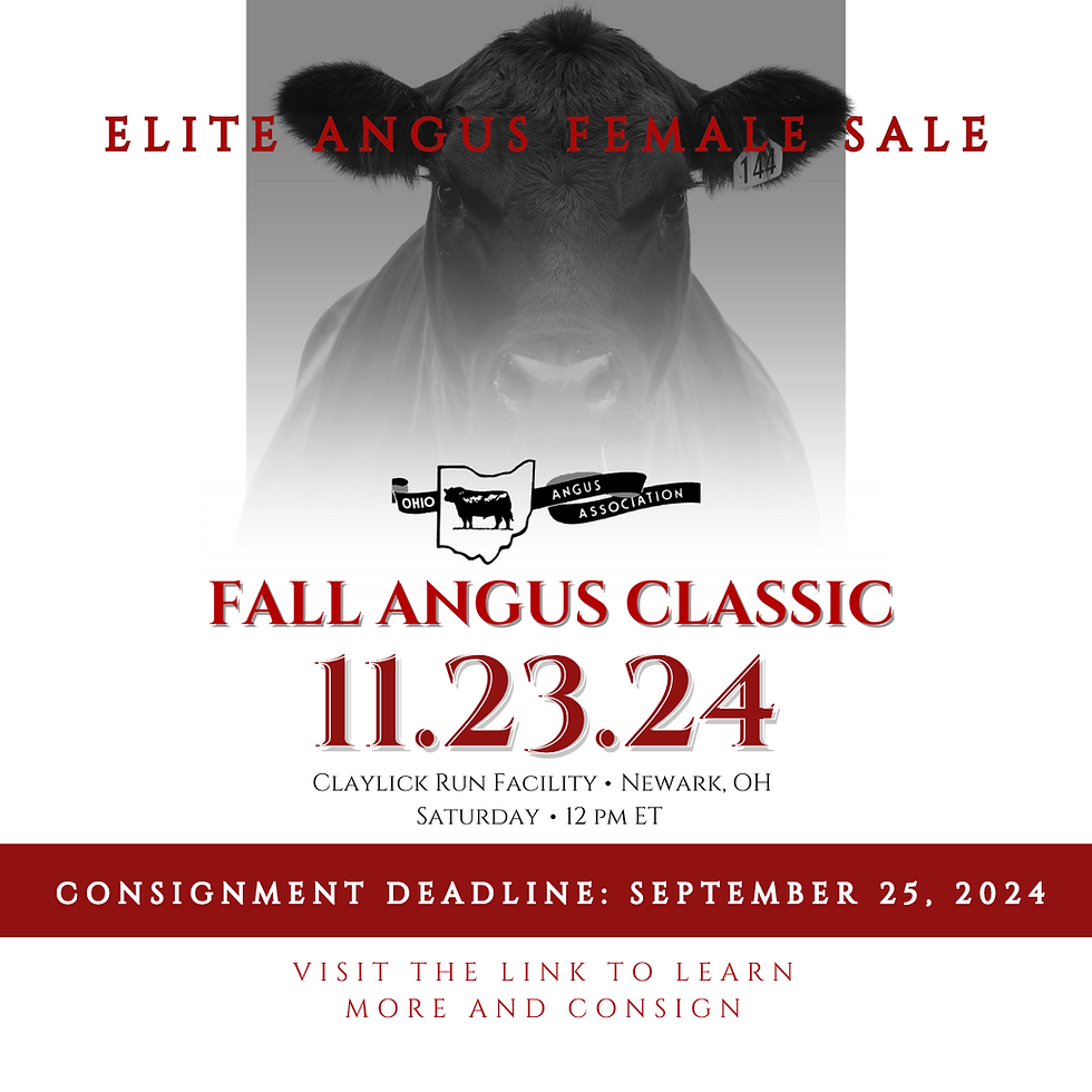 2024 Fall Angus Classic Angus Female Sale Consignment Deadline ...