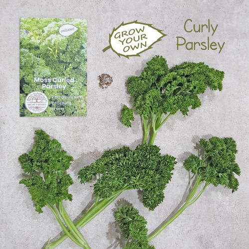 Grow Your Own Parsley Pack of 50 Seeds | Nature's Goodies