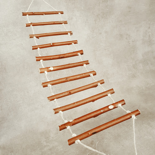 Wooden Activity Climbing Ladder Swing | Nature's Goodies