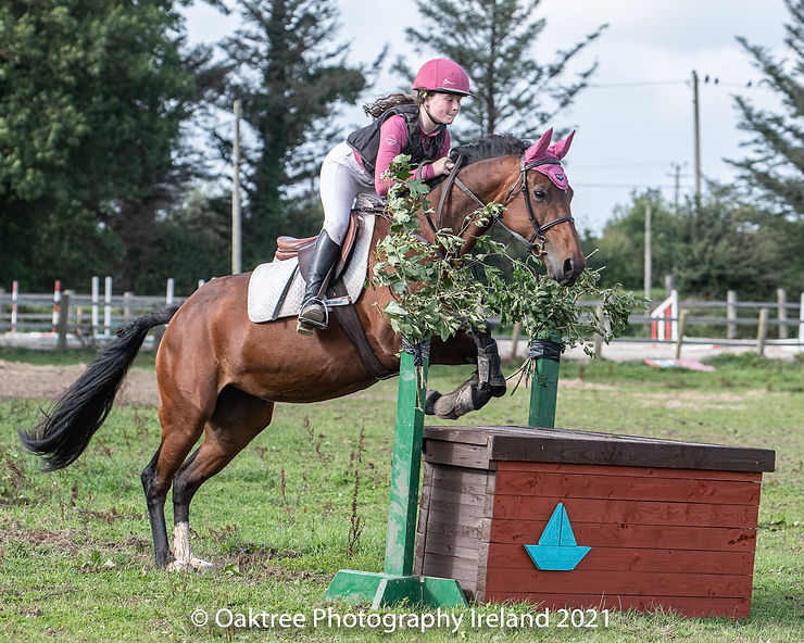 Corner Cross Country Jump | Munster Equine Jumps | Ireland