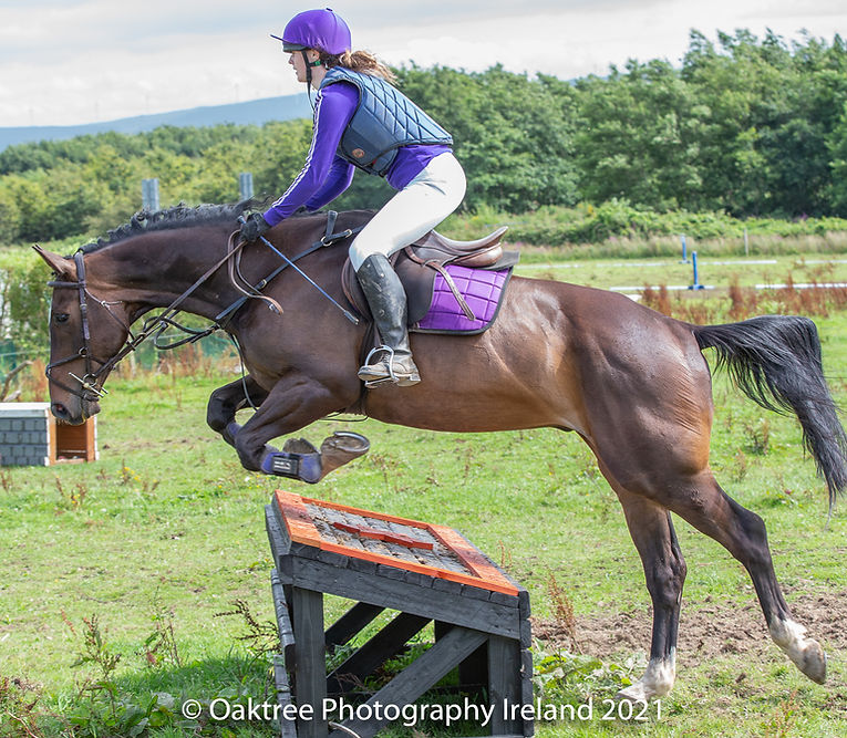 Sloping Palisade Cross Country Jump | Munster Equine Jumps | Ireland
