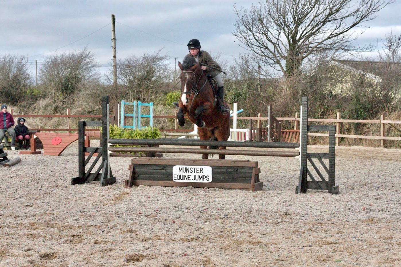 Working Hunter Fences | Munster Equine Jumps | Ireland