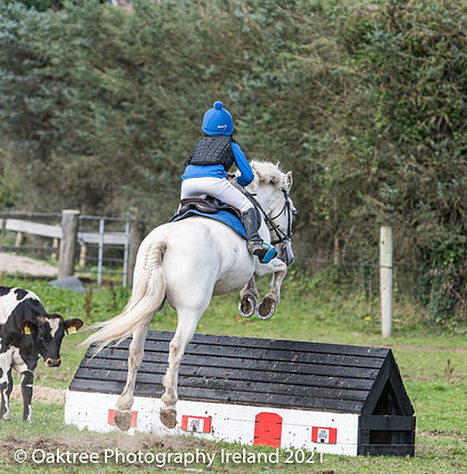 Custom-made Cross Country Jumps | Munster Equine Jumps | County Kerry