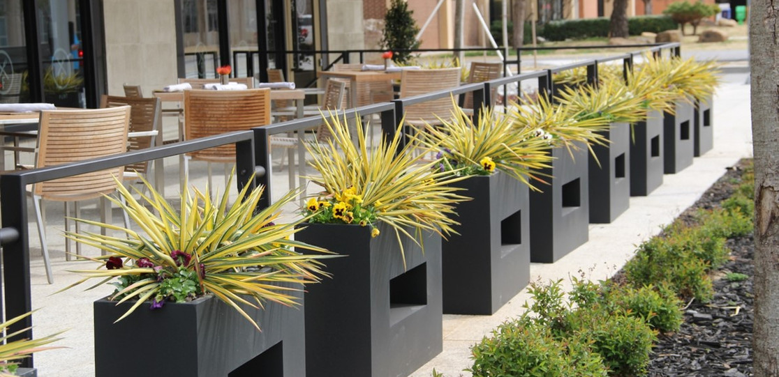 Cohlmia's | Commercial Outdoor Plant Design