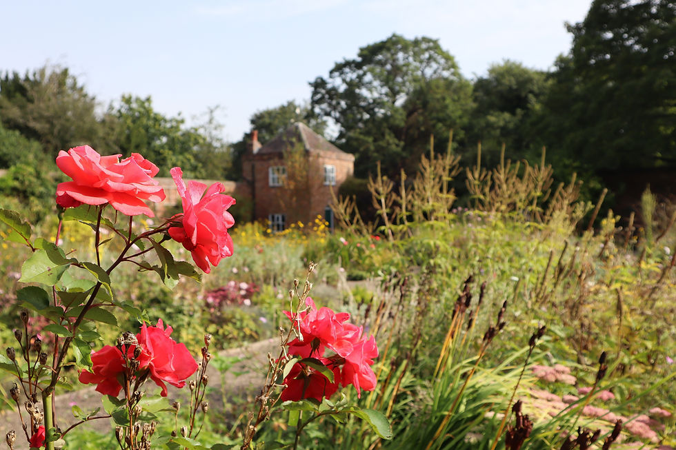 All Products | Middleton Hall