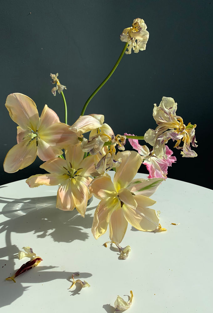 EXPECTATION vs REALITY IN FLOWERS - SUBJECTIVE PERFECTION