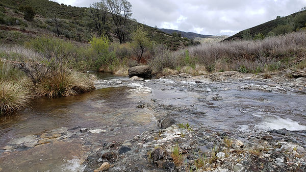 Bulk Mineral Spring Water | Adobe Springs Water | United States
