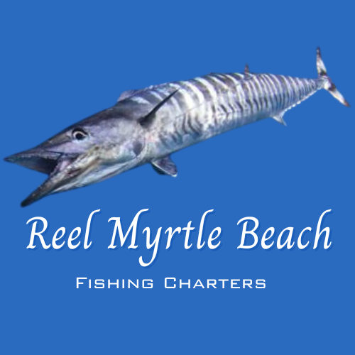 Reel Myrtle Beach Fishing Charters - Nearshore/Offshore Fishing