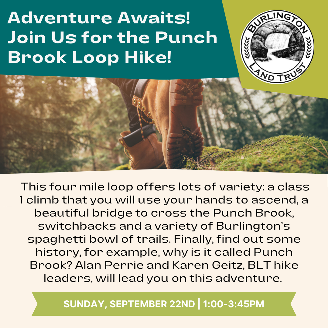 Punch Brook Loop Hike | BurlingtonLandTrust
