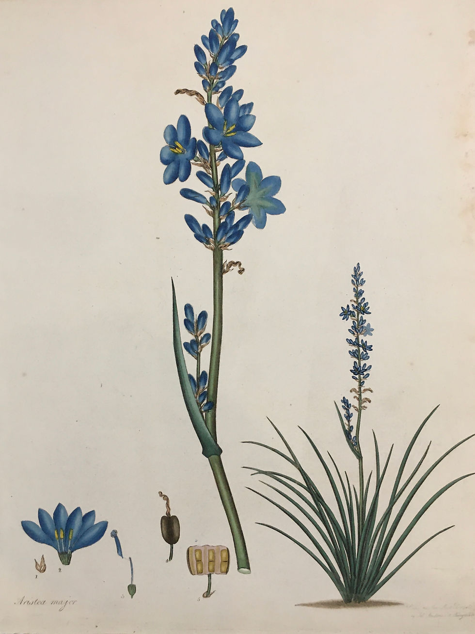 HOME | Portobello Maps