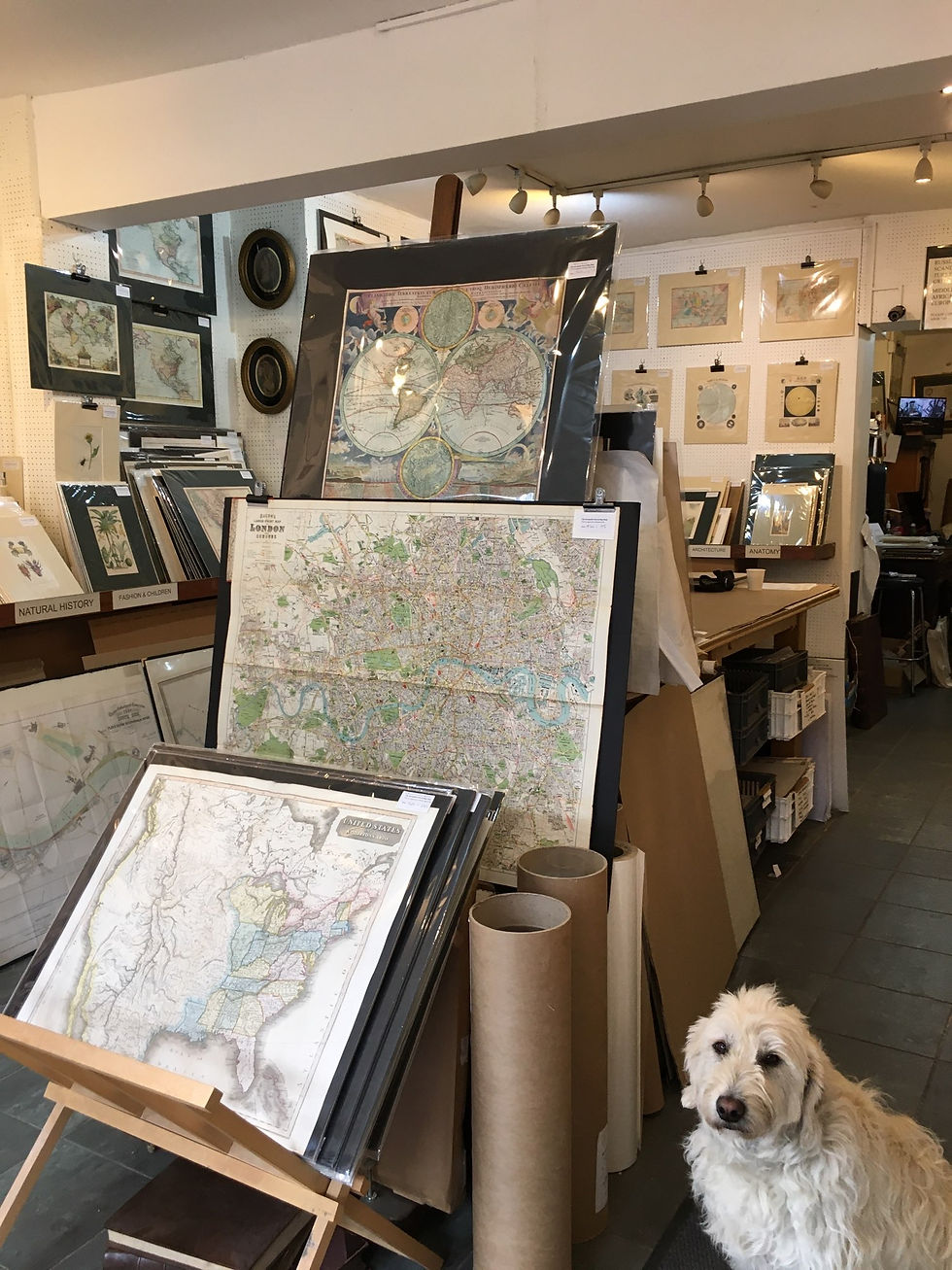 HOME | Portobello Maps