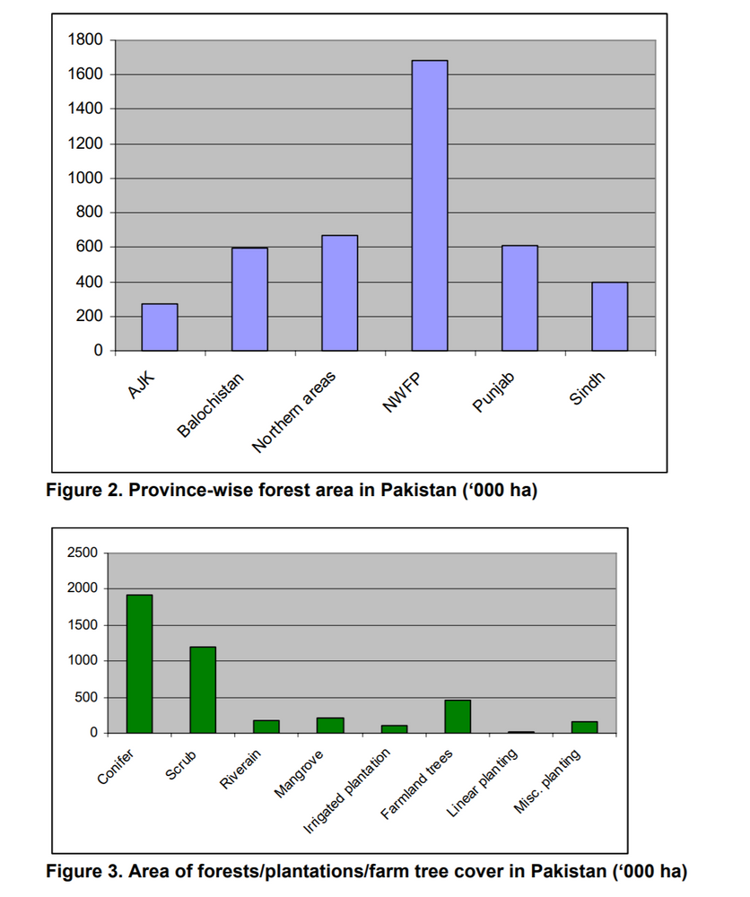 CURRENT STATE OF FORESTS IN PAKISTAN