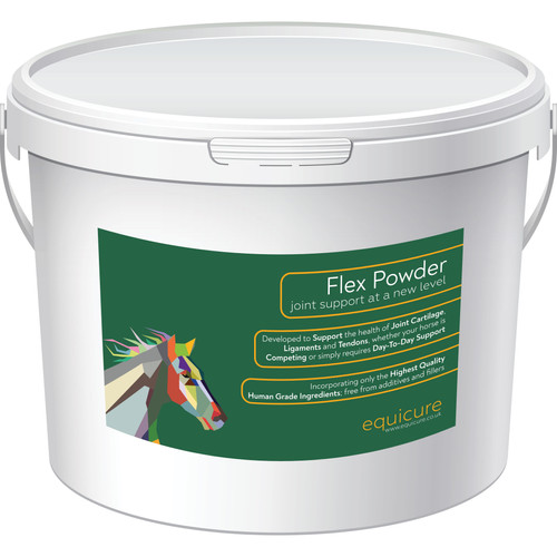 Flex Powder | Equicure