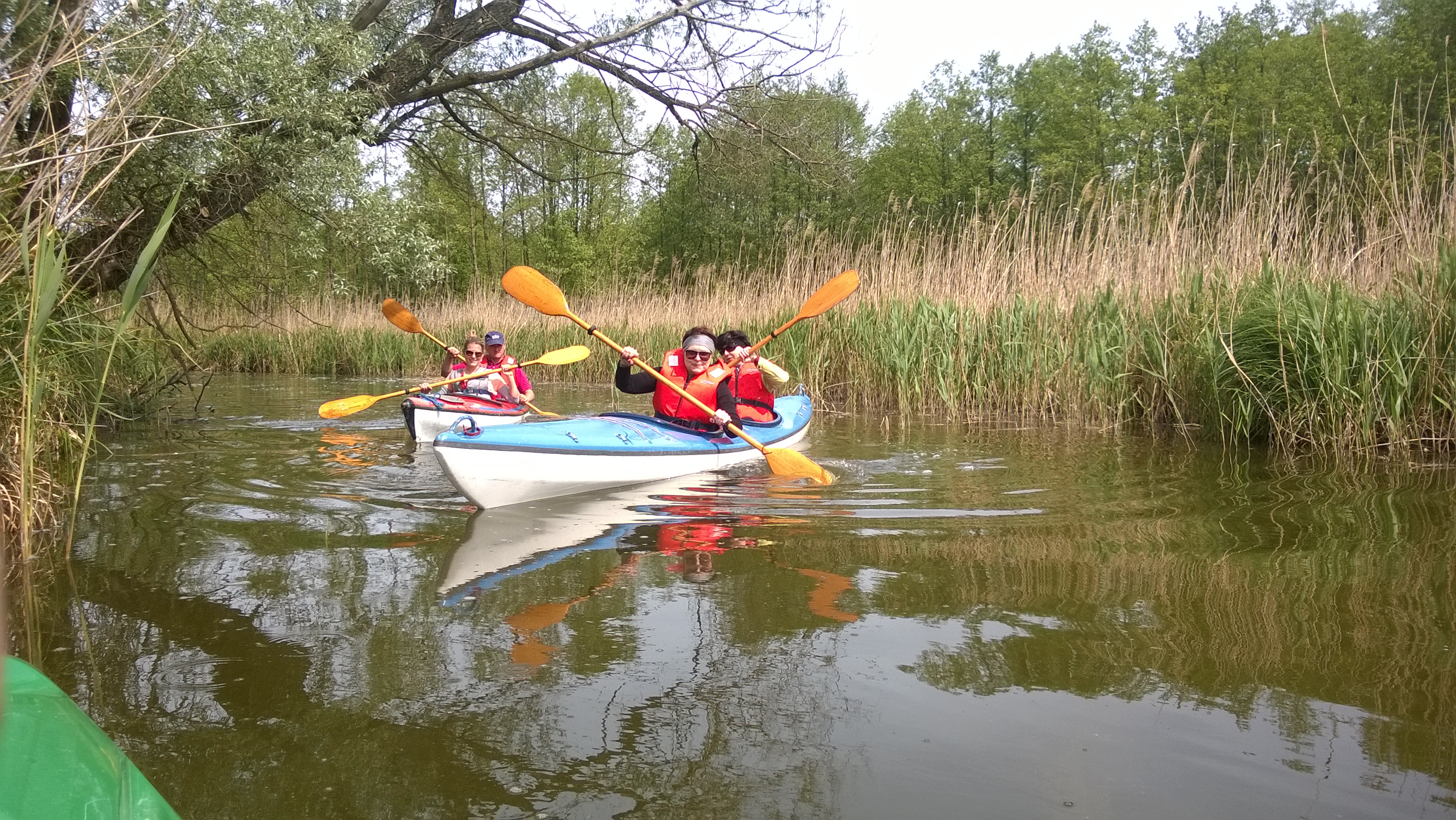 Kajaki spływ kajakowy Wielkopolska Szlak Konwaliowy Poznań Wrocław