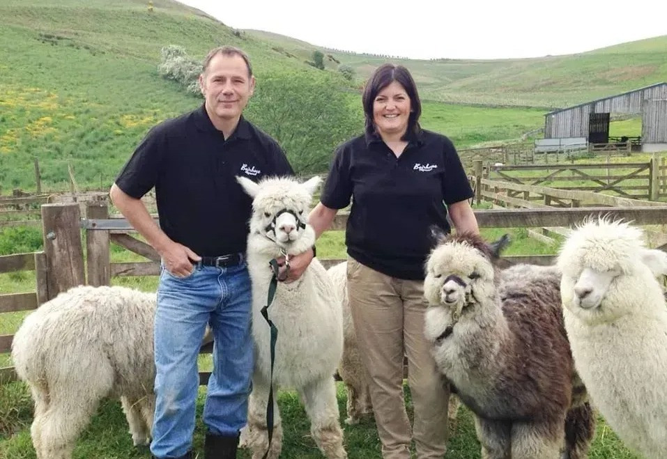 The Diary of an Alpaca Trekker