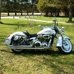 Taurus Custom Leather