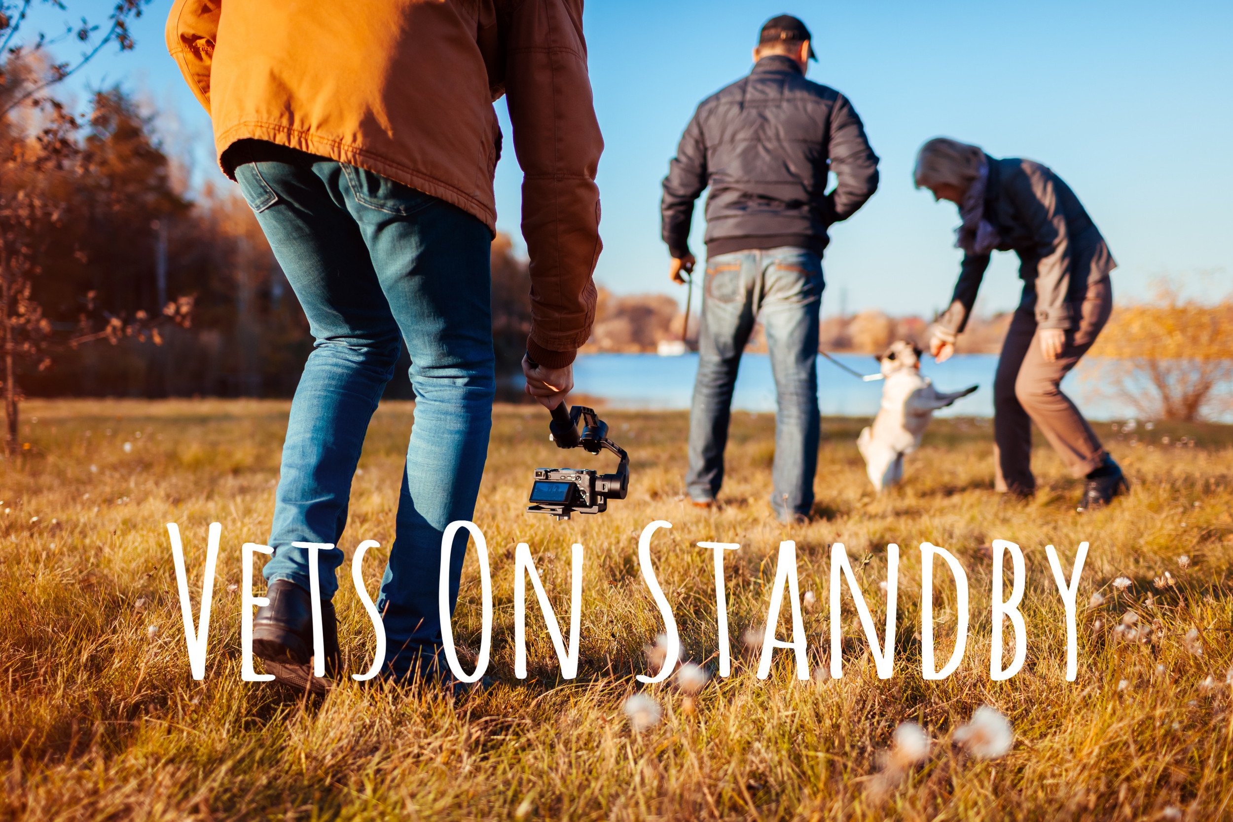 Vets on Standby | Vet for Film & TV | London, UK