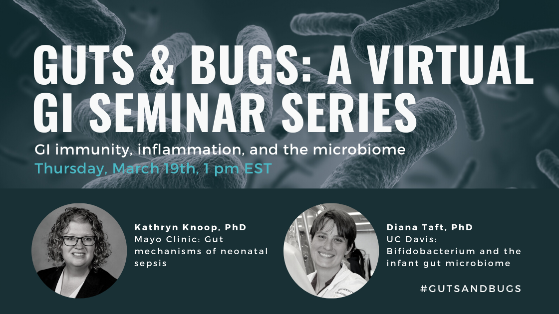 Guts&Bugs | edelblumlab