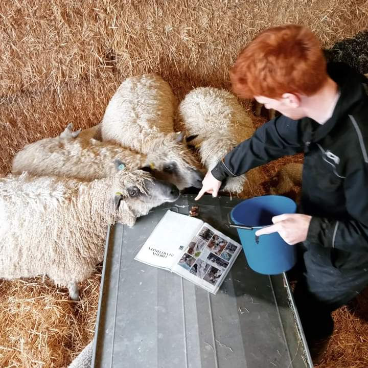 Chilton Grounds Farm / Buckinghamshire