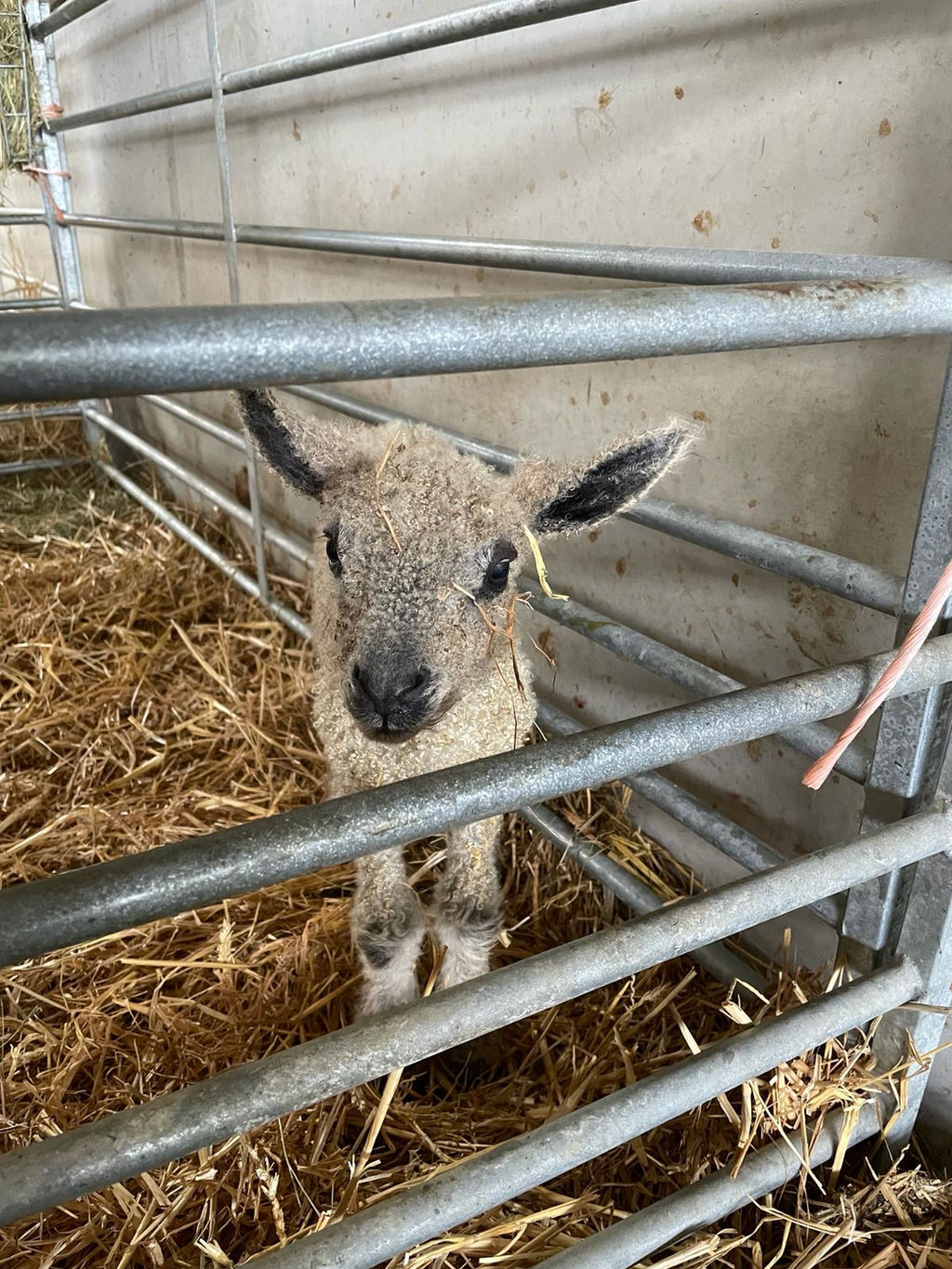 Chilton Grounds Farm / Buckinghamshire