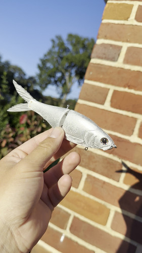 HK6 CHROME | Fish Everything