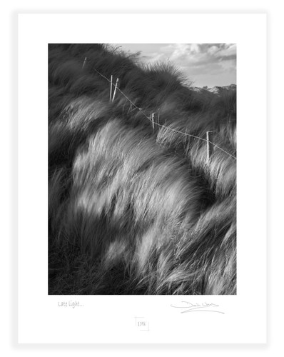 Late light | David Ward Photos