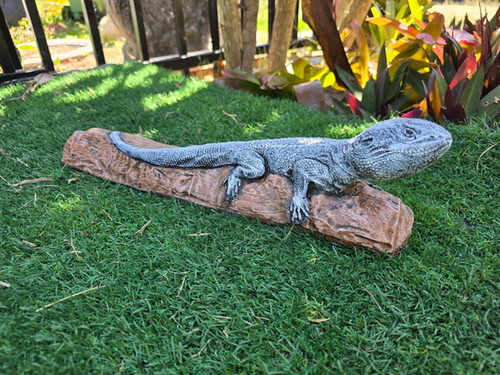 Lizard On Log | CreativeConcreteStat