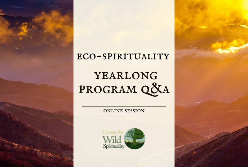 Eco-Spirituality Yearlong Programs Q&A | Wild Spirituality