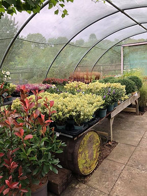 HOME | Badgers Hill Farm